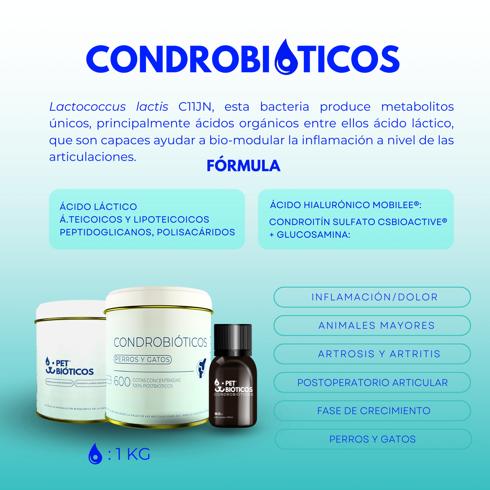 Why use a joint protector for pets? – PETBIÓTICOS